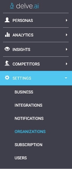 Get Service Provider and Network Domain in Google Analytics | Delve AI blog